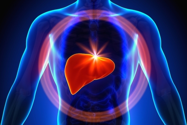 Hepatite B – IME Clínica Cidadã | Blog